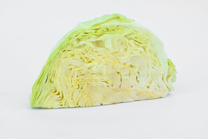 Side View of a Half Cut Fresh Green and White Cabbage Vegetable ...