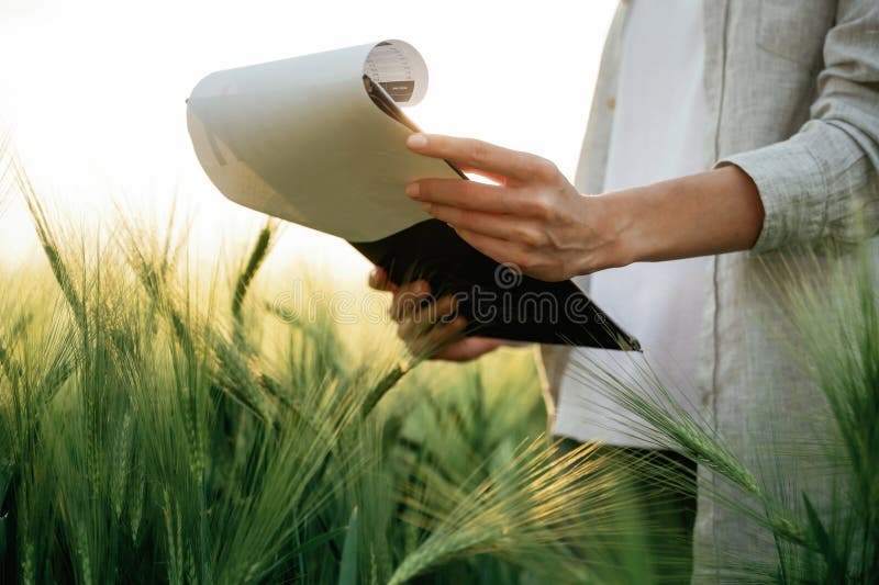 Side View, Holding Notepad with Documents. Woman in White is on the ...