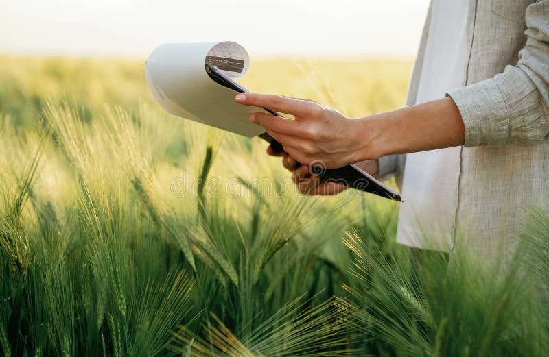 Side View Holding Notepad Documents Woman White Agricultural Wheat ...