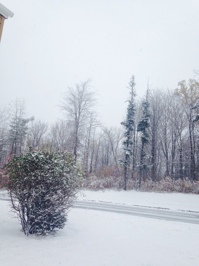 Side view editorial image. Image of view, right, looks - 46780730