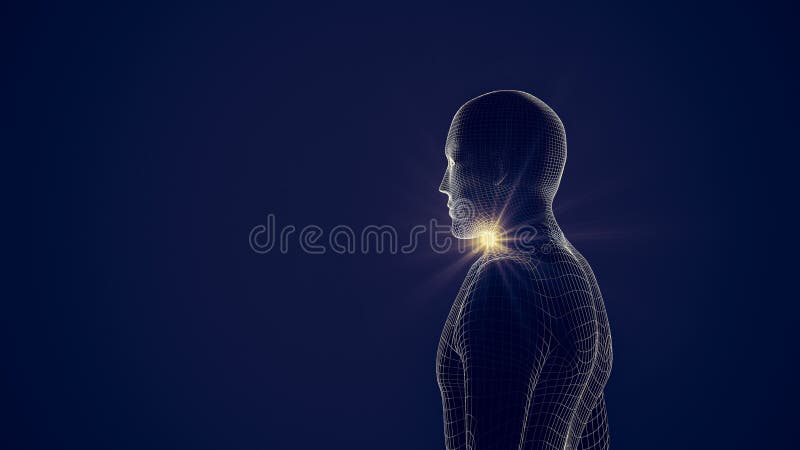Side View of Human Body with Light Flare. Wireframe Model Stock ...