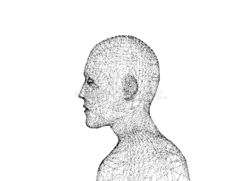 Side View of Human Body. Model Isolated on White Background, Art Stock ...