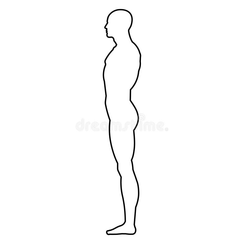 Side View of Human Body Outlined Silhouette. Vector Stock Vector ...