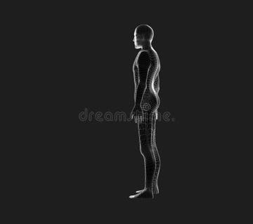 Side View of Human Body. Wireframe Model on Black, Artificial Stock ...