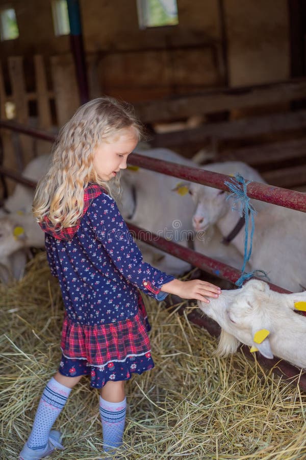 Side View of Kid Palming Goat Stock Image - Image of child, animals ...