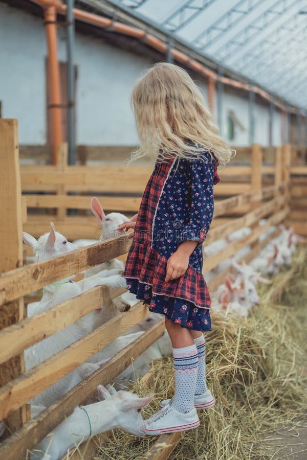 Side View of Kid Touching Goat Stock Photo - Image of lifestyle ...
