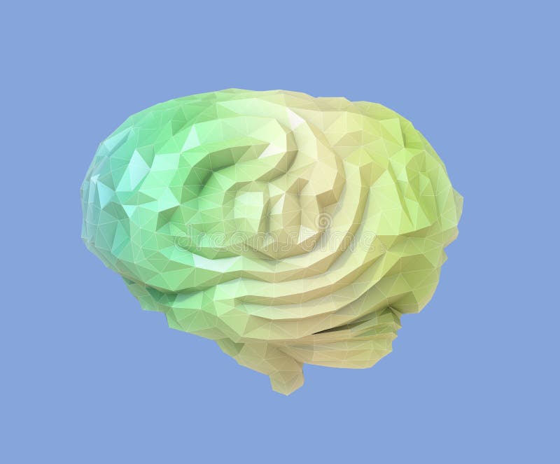 Side View of Low Poly Brain Model Stock Illustration - Illustration of ...