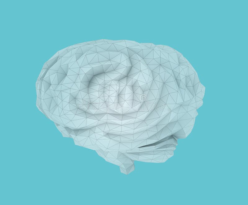 Side View of Low Poly Brain Model Stock Illustration - Illustration of ...