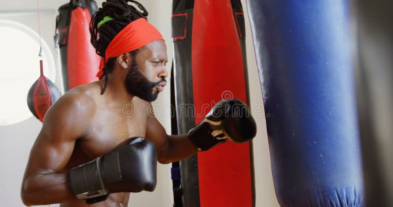 Male Boxer Practicing Boxing in Fitness Studio 4k Stock Footage - Video ...