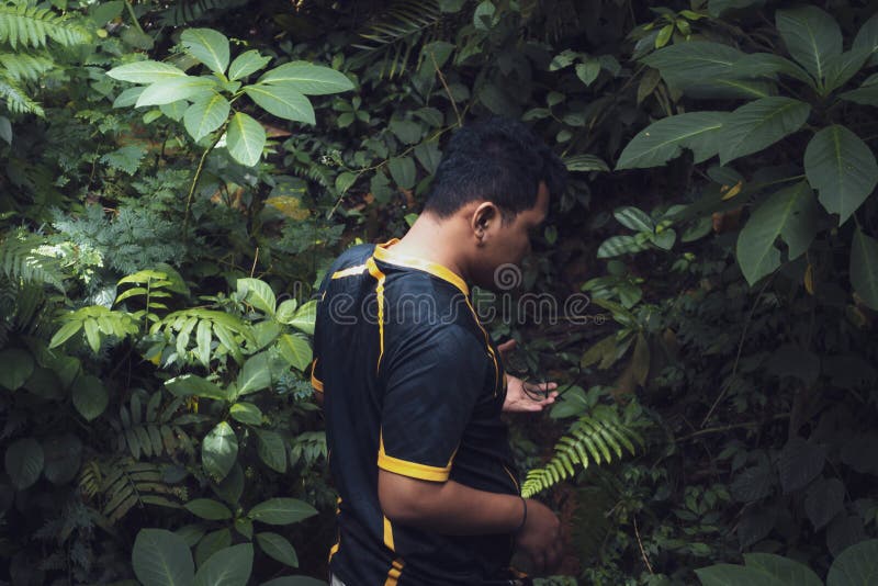 A Man, Alone in a Lush Forest Stock Image - Image of male, alone: 254162019