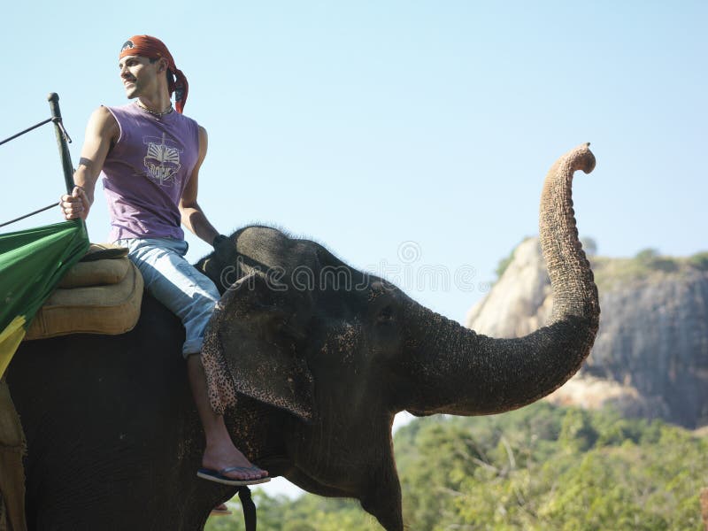 Side View of Man Riding on Elephant Stock Photo - Image of peaceful ...