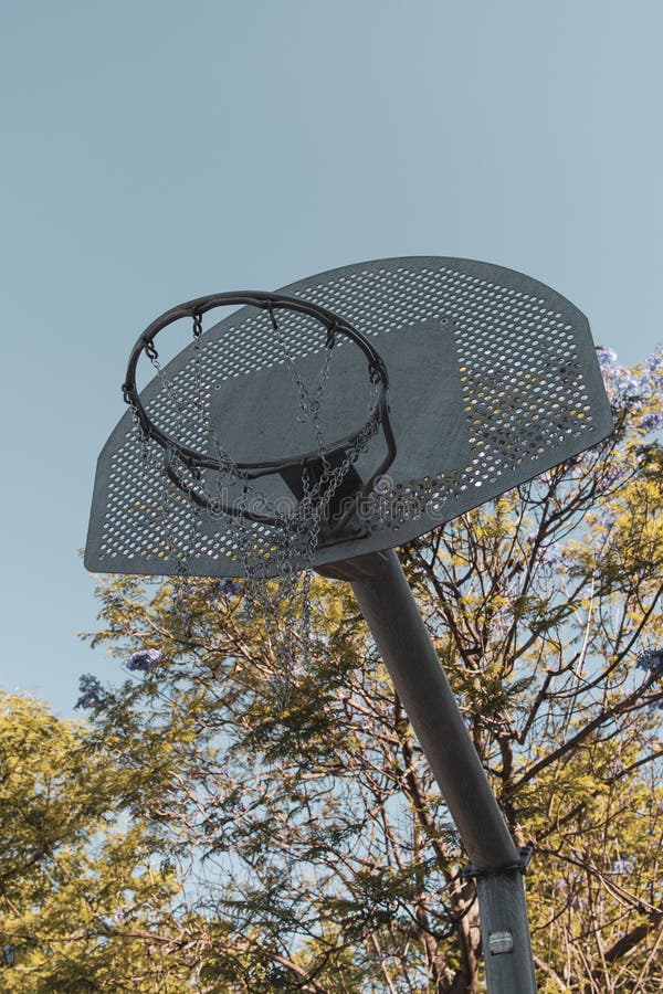 Side View Metallic Basketball Hoop with Clear Blue Sky and Trees ...