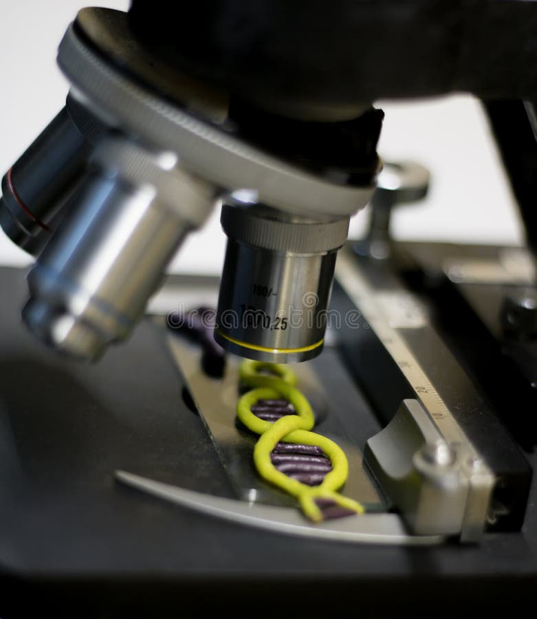 Side View of a Microscope while Analyzing a DNA Sample. Stock Image ...