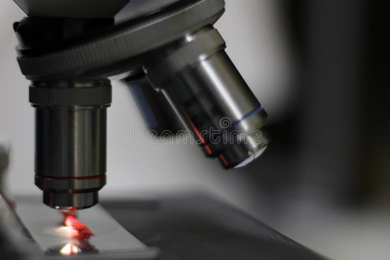 Side View of a Microscope while Analyzing a Red Woolen Thread. Stock ...