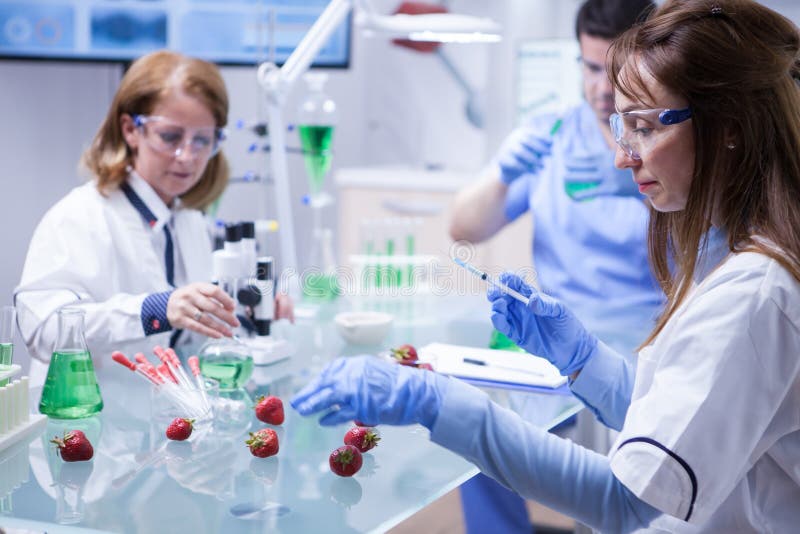 Side View Middle Age Female Scientist Doing Test on Strawberries in a ...