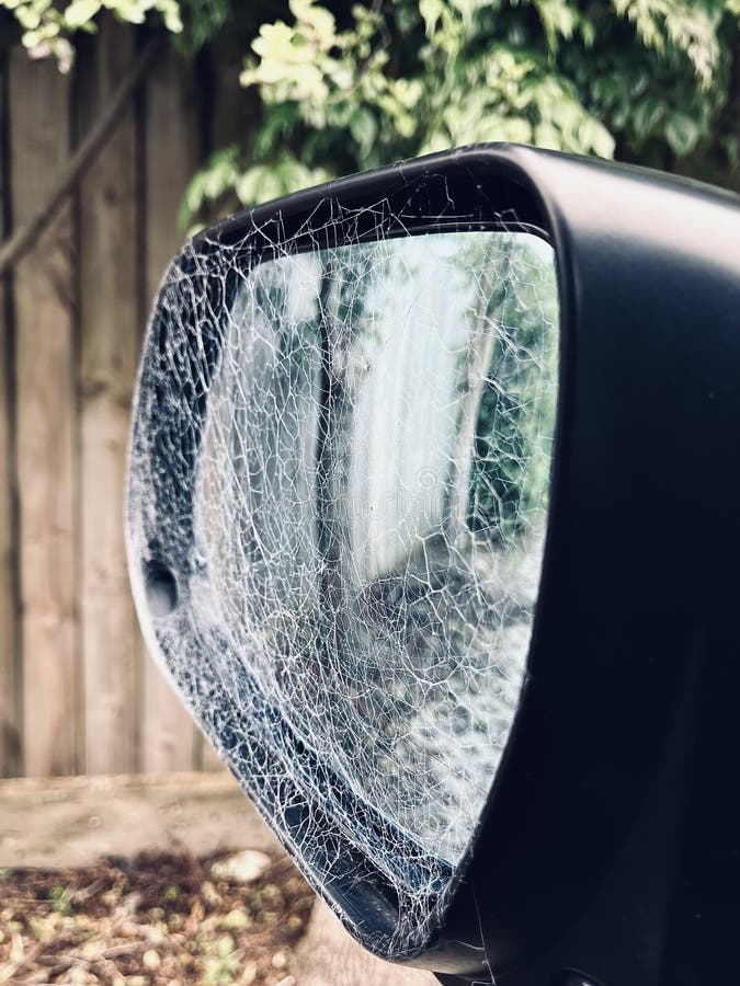 Persistent Spiderwebs on Side Mirror. Cool Tone. Stock Image - Image of ...