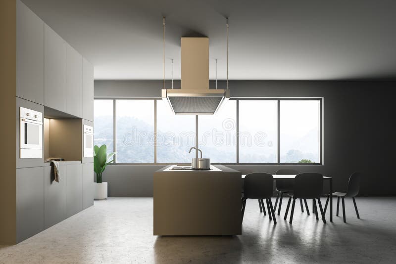 Gray Modern Kitchen with Long Table, Side View Stock Illustration ...