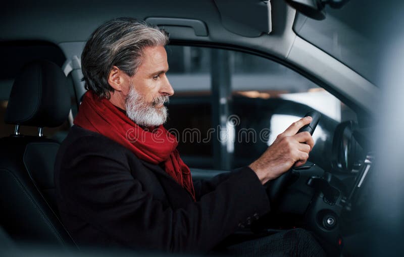 Side View of Modern Stylish Senior Man with Grey Hair that is in the ...