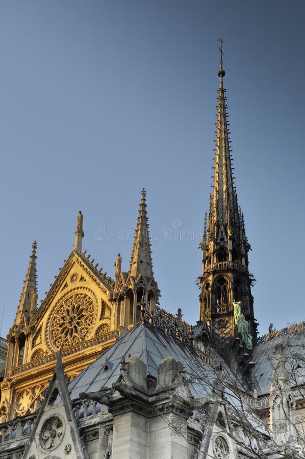 Side View of Notre Dame Cathedral at Sunset Stock Photo - Image of ...