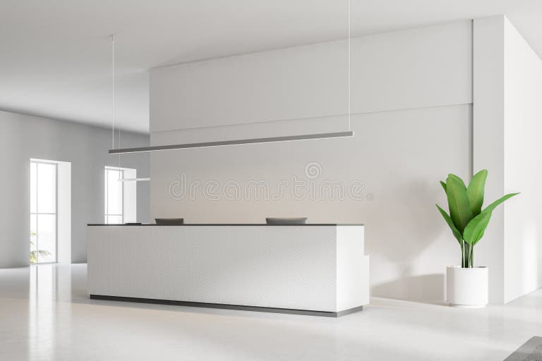 Blank Reception Desk Side Stock Illustrations – 316 Blank Reception ...