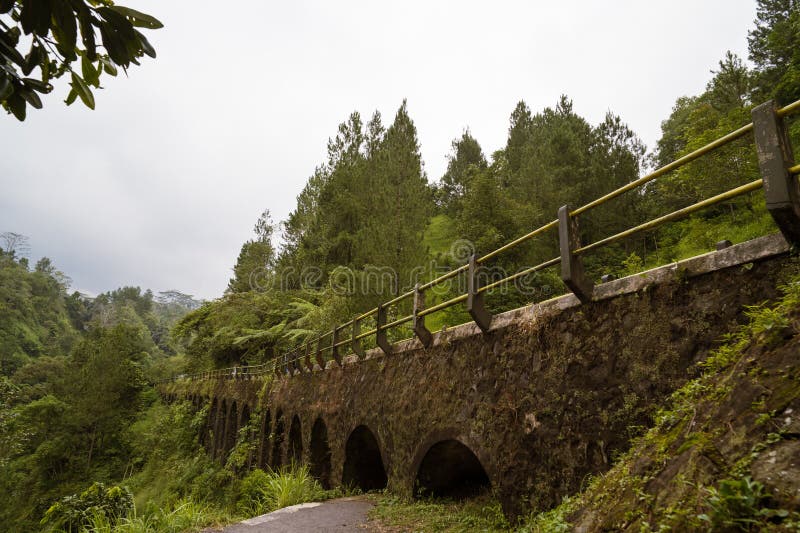 Side View of an Old Bridge on the Middle of Rain Forest, Lush Nature ...