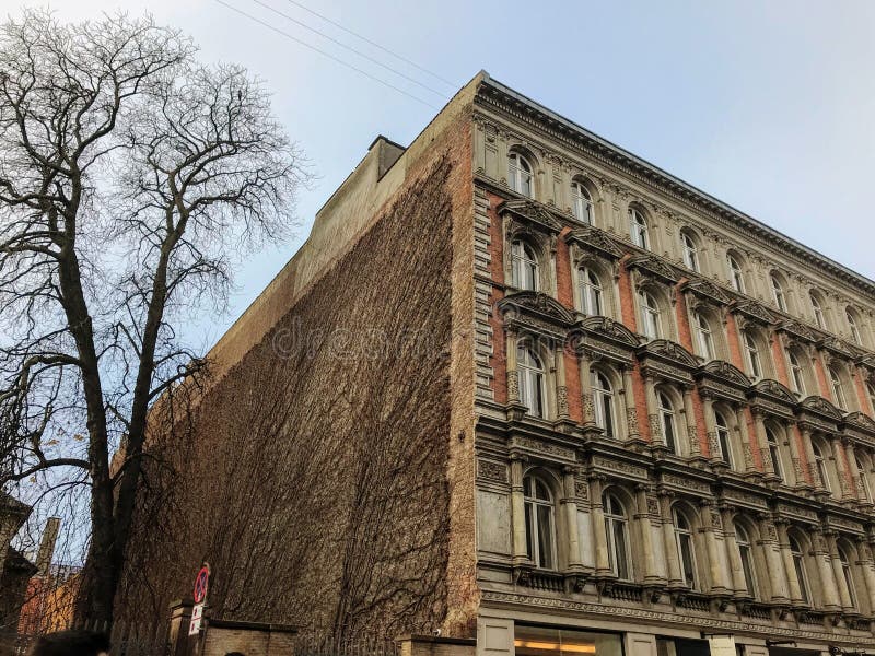 Side View of the Old Building with the Tree Next To it and Brided by ...