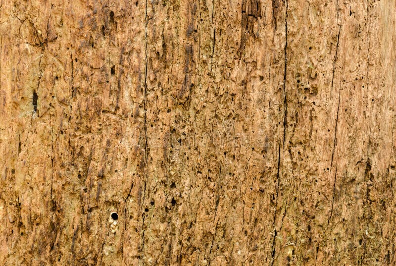 Side View Of Old Wood Texture Stock Image - Image of grain, macro: 37442207