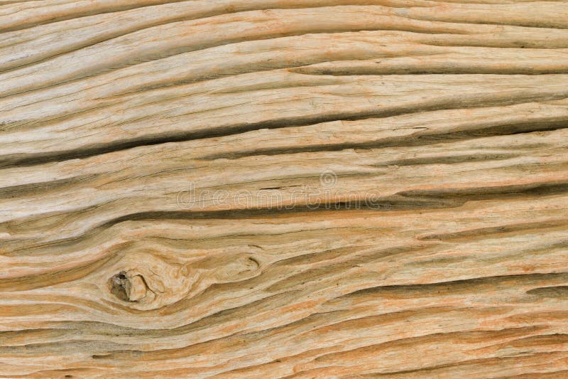 748 Tree Side View Old Wood Texture Stock Photos - Free & Royalty-Free ...