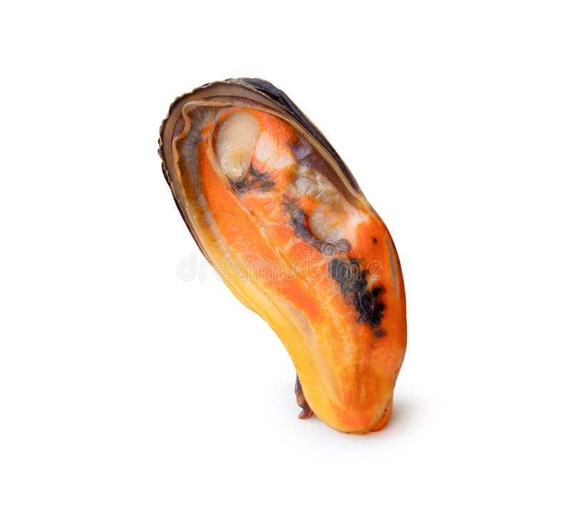 Side View of One Cooked Green Mussels in Red Meat without Shell ...