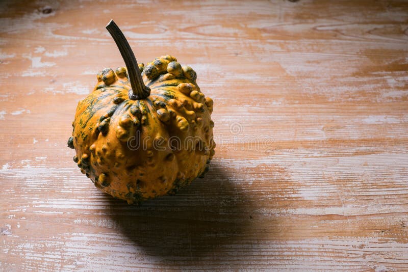 Side View of Orange Pumpkin Displayed on Wooden Surface Stock Image ...