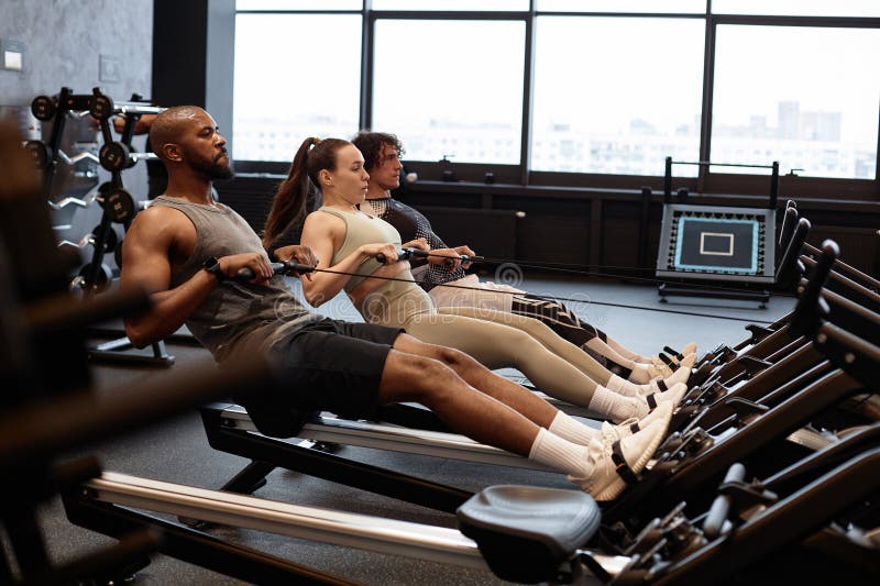 People Using Rowing Machine in Gym Stock Photo - Image of people ...