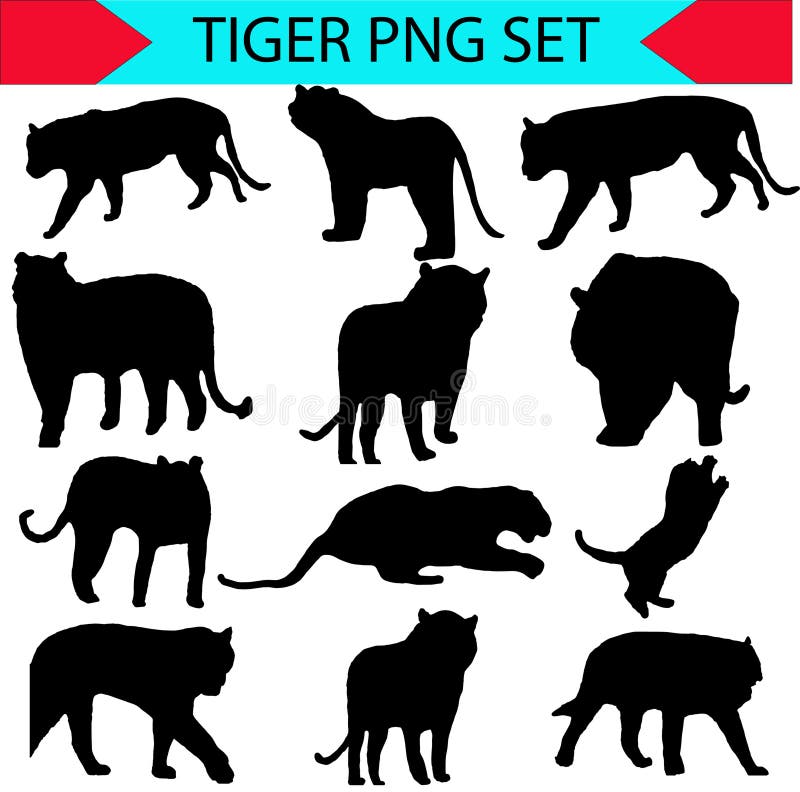 Side View, Profile of a Tiger Standing and Looking Away, Isolated on ...