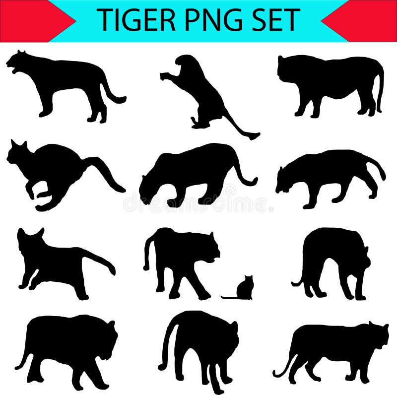 Side View, Profile of a Tiger Standing and Looking Away, Isolated on ...