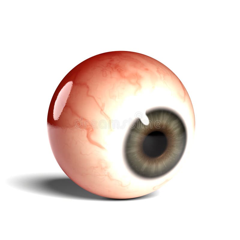 Eyeball Side View Stock Illustrations – 266 Eyeball Side View Stock ...
