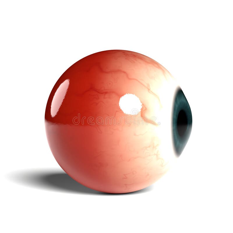 Side View of Realistic Human Eyeball Isolated on Wihte Background, 3D ...