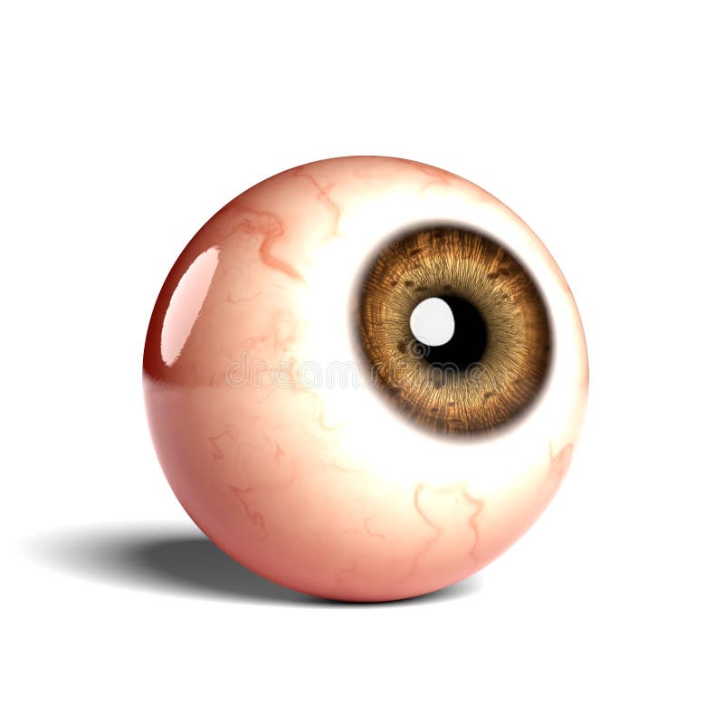 Side View of Realistic Human Eyeball Isolated on Wihte Background, 3D ...