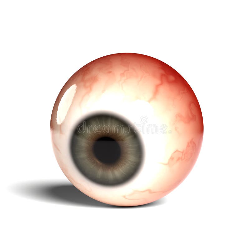 Side View of Realistic Human Eyeball Isolated on Wihte Background, 3D ...