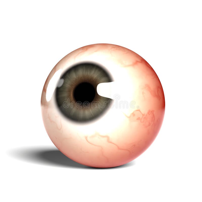 Eyeball Side View Stock Illustrations – 266 Eyeball Side View Stock ...