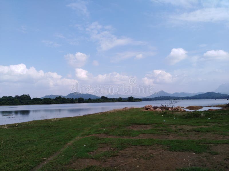Side View in the River in Sri Lanka Stock Photo - Image of lanka, buds ...