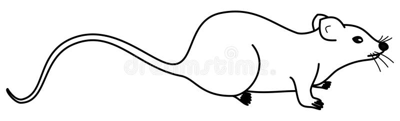 Side view rodent symbol stock illustration. Illustration of biology ...