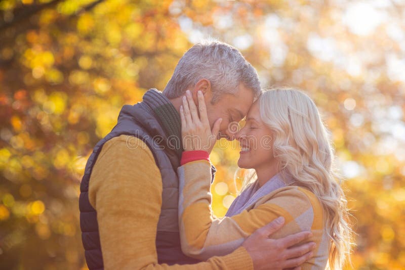 Side View of Romantic Couple at Park Stock Photo - Image of autumn ...