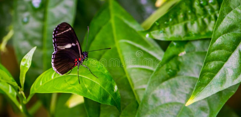 Sara Knickers Mature Stock Photos - Free & Royalty-Free Stock Photos ...