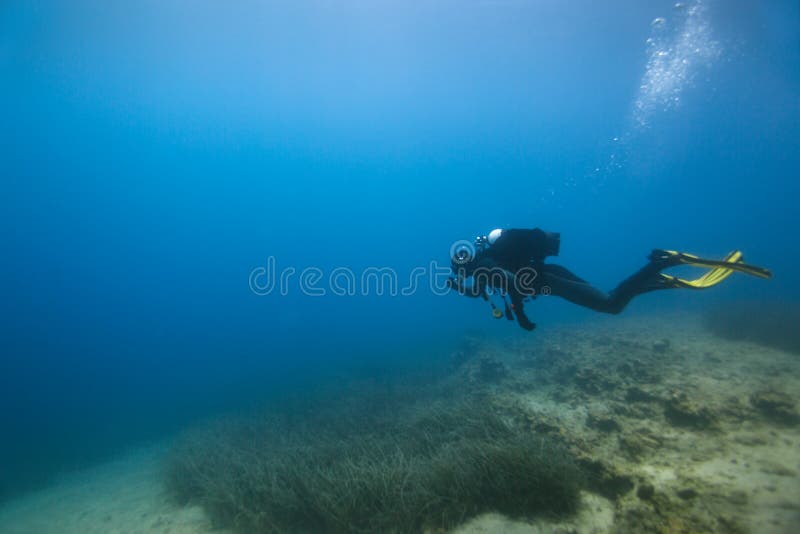 Diver in underwater canyon stock photo. Image of depth - 12176176