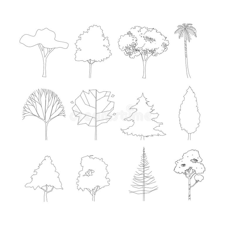 Architectural Trees Elevation Stock Illustrations – 48 Architectural ...