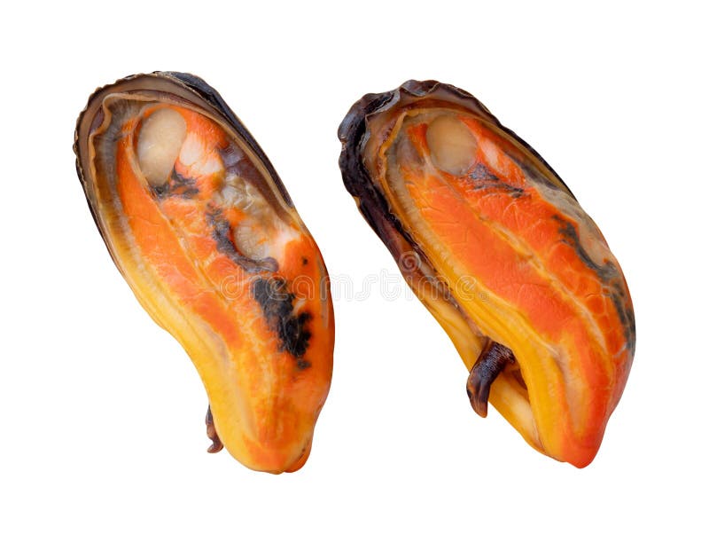 Side View Set of Two Cooked Green Mussels in Red Meat without Shell ...