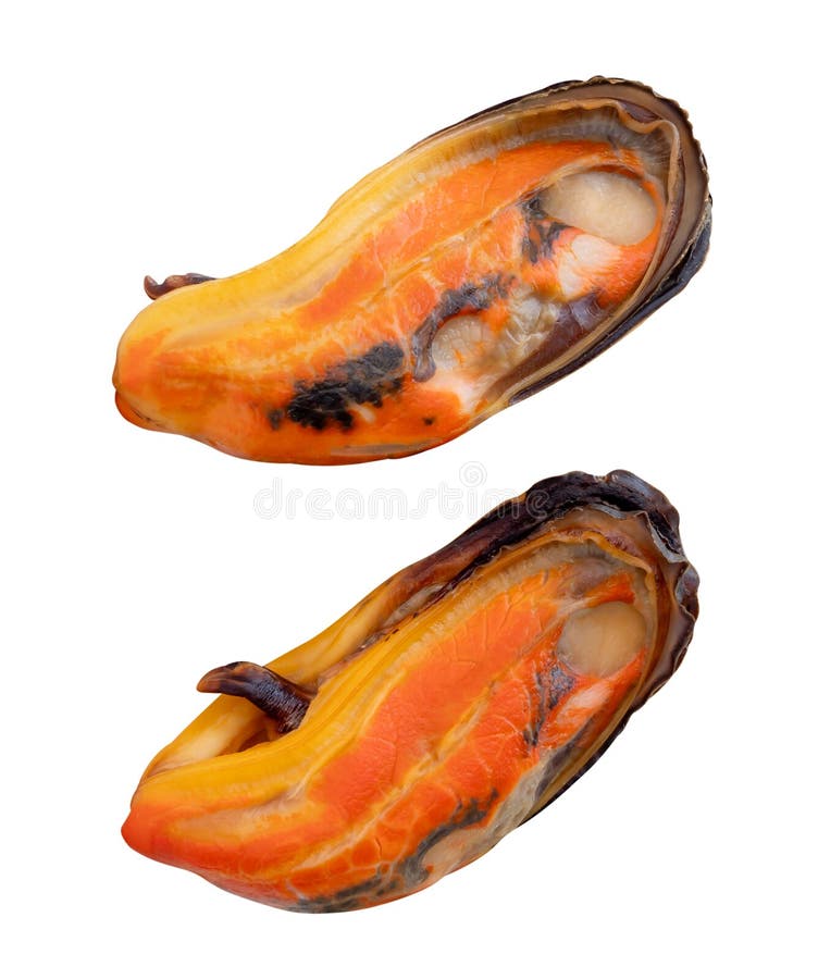 Side View Set of Two Cooked Green Mussels in Red Meat without Shell ...