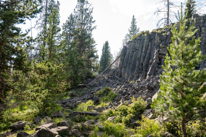 Side View of Sheepeater Cliff, a Column Basalt Geological Feature in ...