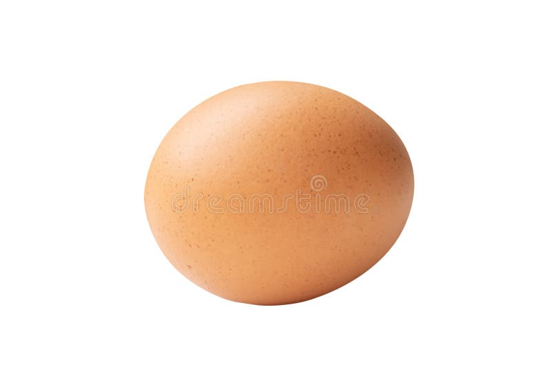 Side View of Single Brown Chicken Egg Isolated on White Background with ...