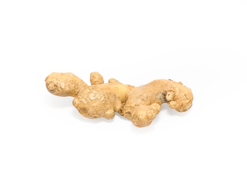 Side View of Single Ginger Isolated Stock Photo - Image of root ...