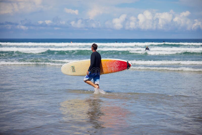Side View of Surfer Holding Surfboard and Walking in Water Editorial ...